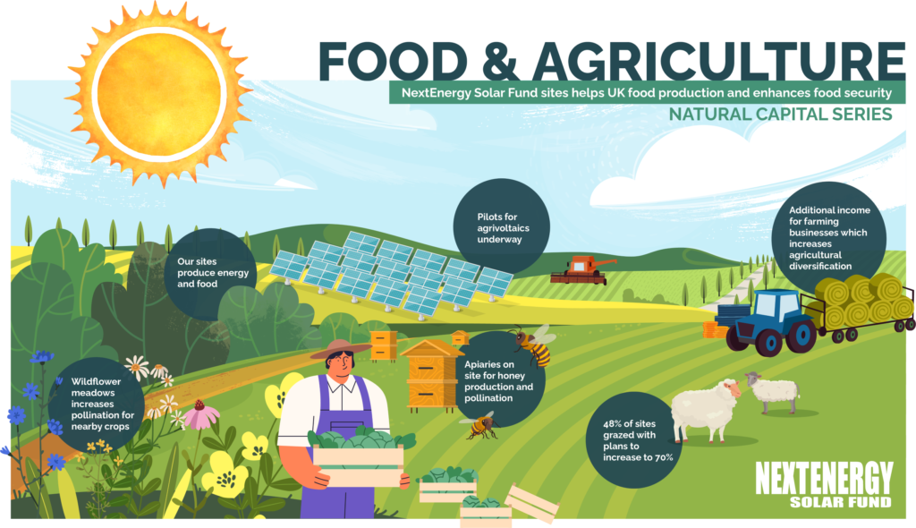 Natural Capital Series: Food & Agriculture - NextEnergy Solar Fund
