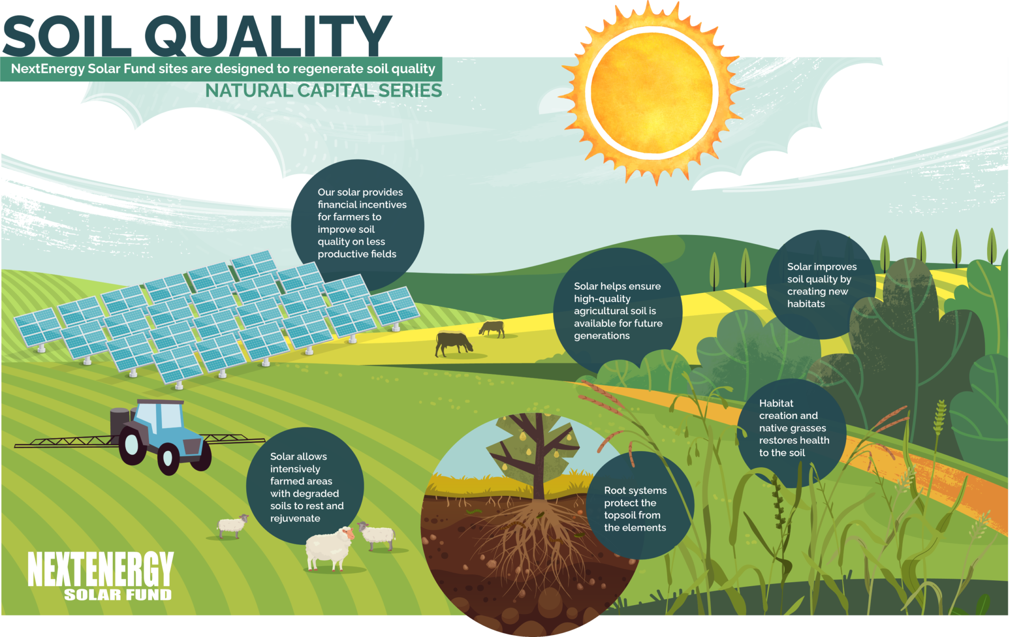 Natural Capital Series: Soil Quality - NextEnergy Solar Fund
