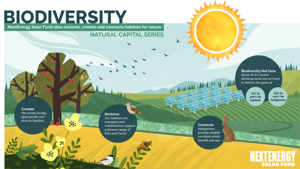 Natural Capital Series: Biodiversity - NextEnergy Solar Fund