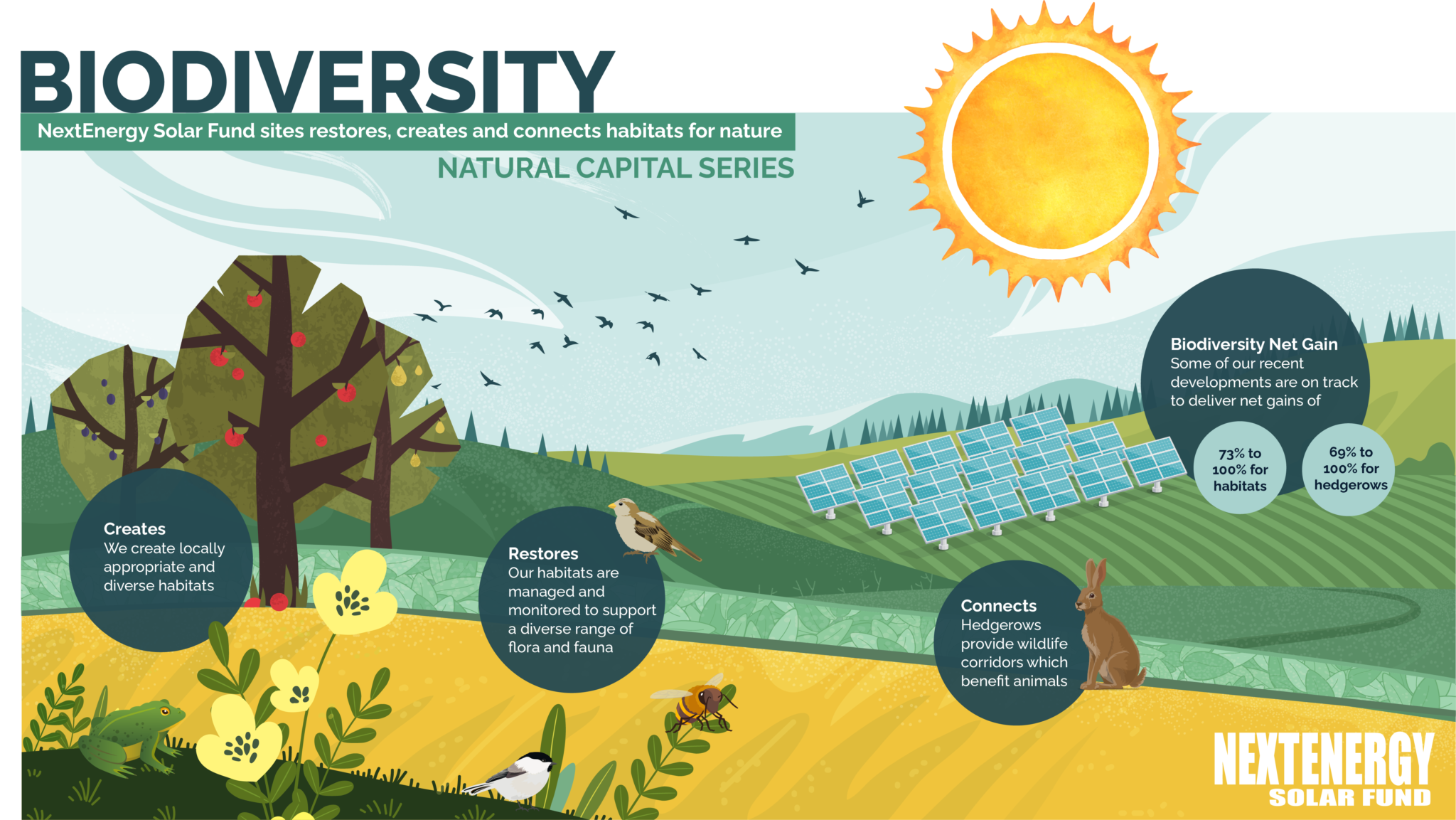 Natural Capital Series: Biodiversity - NextEnergy Solar Fund